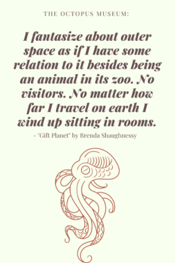 Book Review: The Octopus Museum shows a Beautiful End - Truly Booked