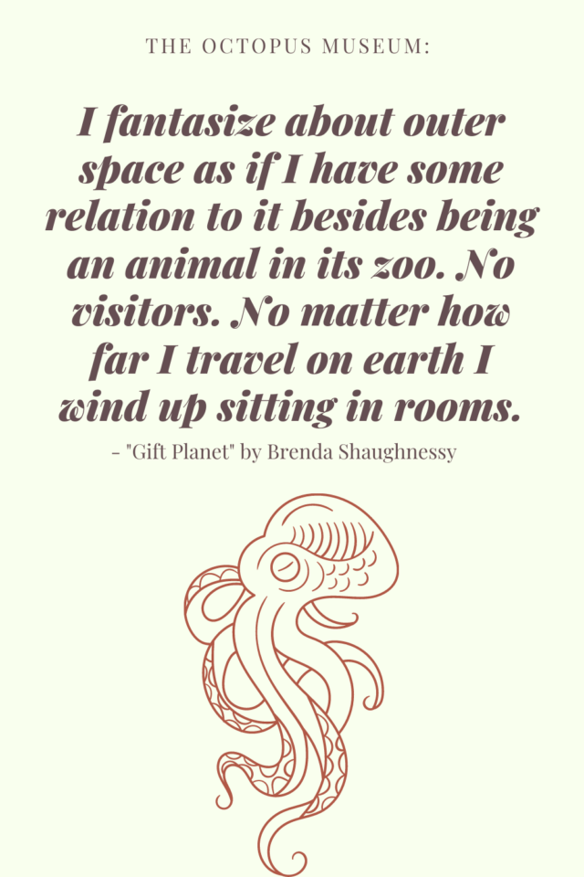 Book Review: The Octopus Museum shows a Beautiful End - Truly Booked